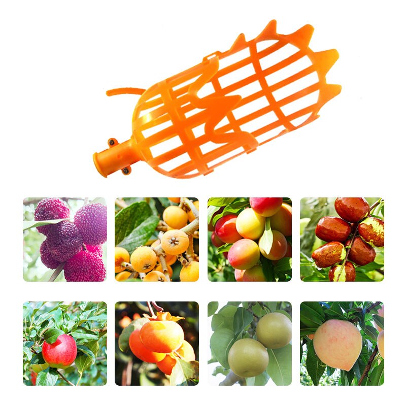 High-altitude Fruit Picker For Berries Picking Mac... – Grandado