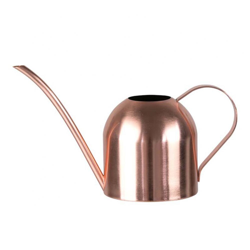 Long Spout Kettle Watering Can 500ML Stainless Ste... – Grandado
