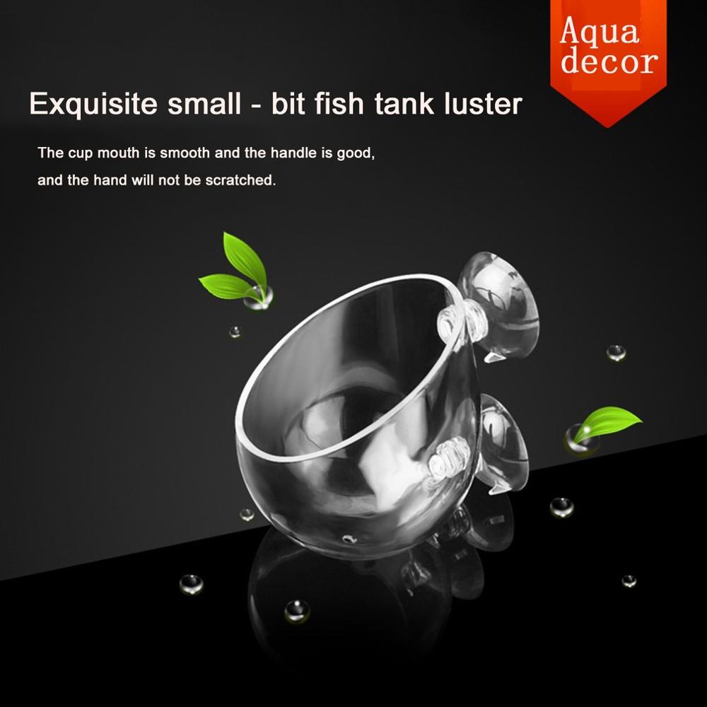 Mini akvariefisk akvarium levende plante kop lands... – Grandado