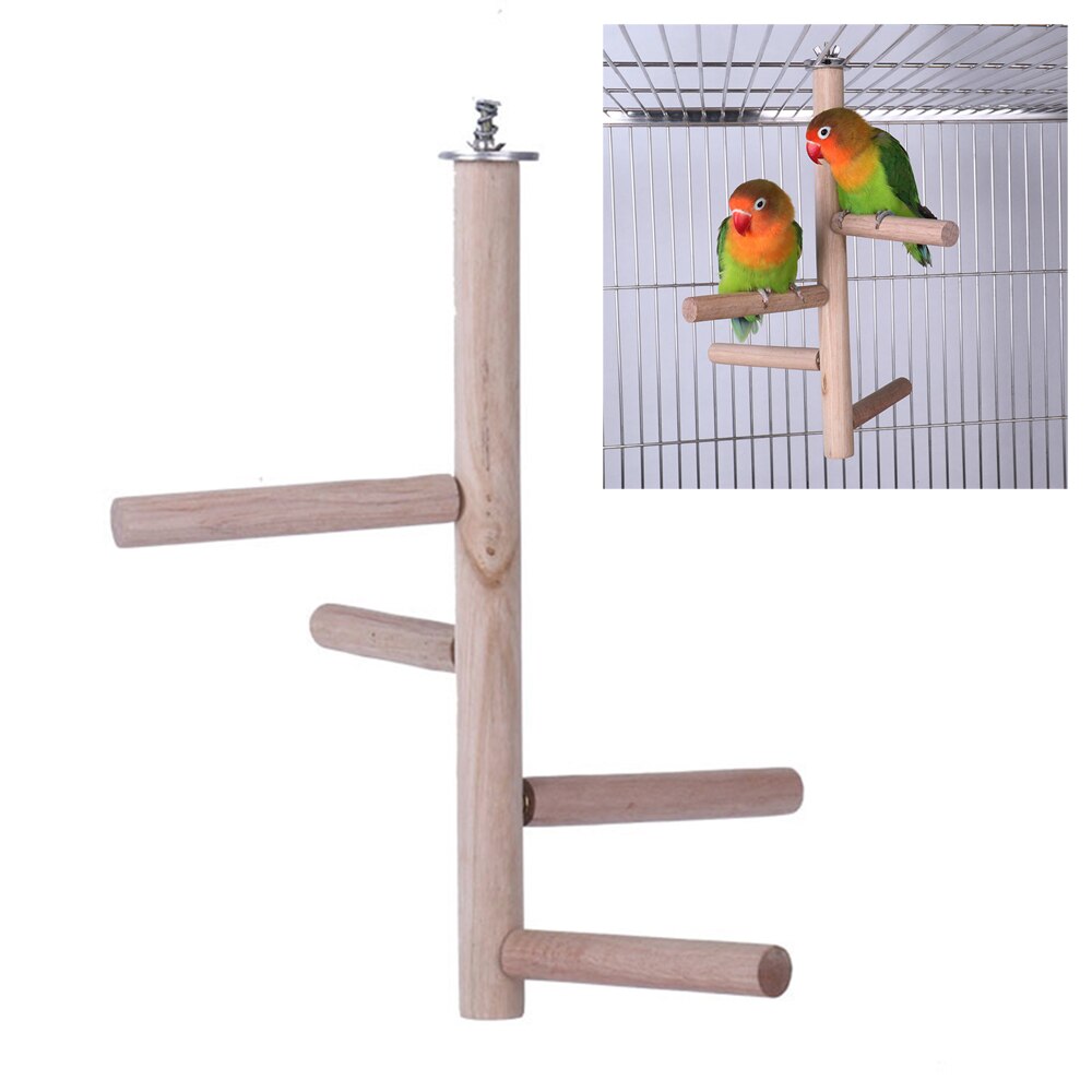Branches Bird Perch Stick Climbing Stairs Parakeet... – Grandado