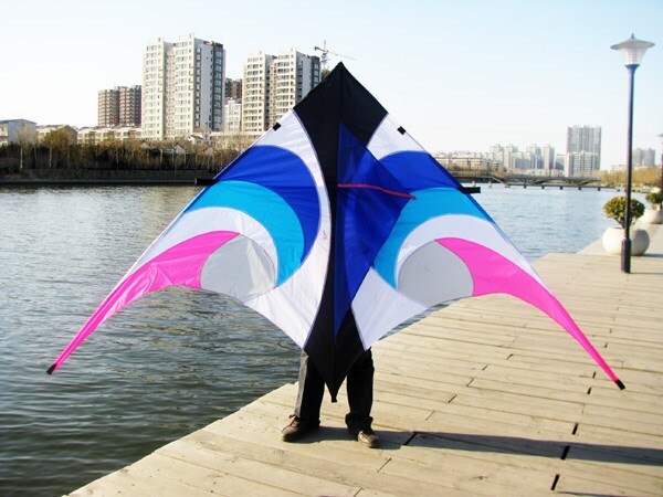 2.8M colorful big delta triangle kite for audlts o... – Grandado