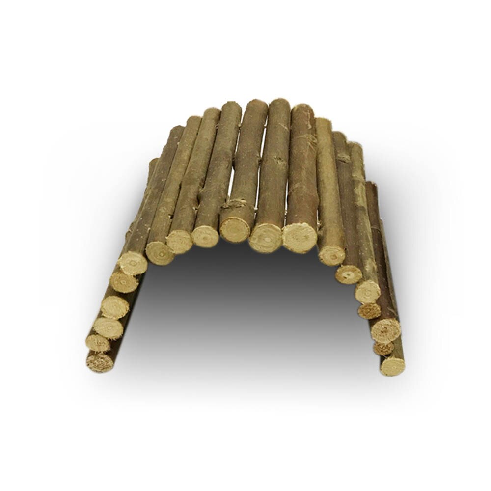 Pet Toys Ladder Reptile Tortoise Hamster Lizard Go... – Vicedeal