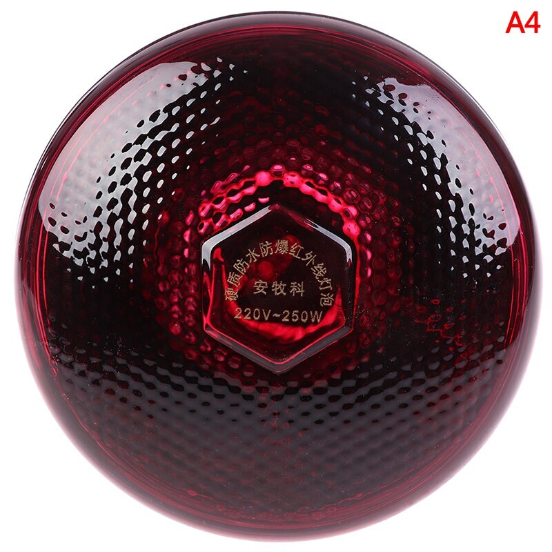 220V 100/150/200/250W/275W Thermal Lamp Smart Infr... – Grandado