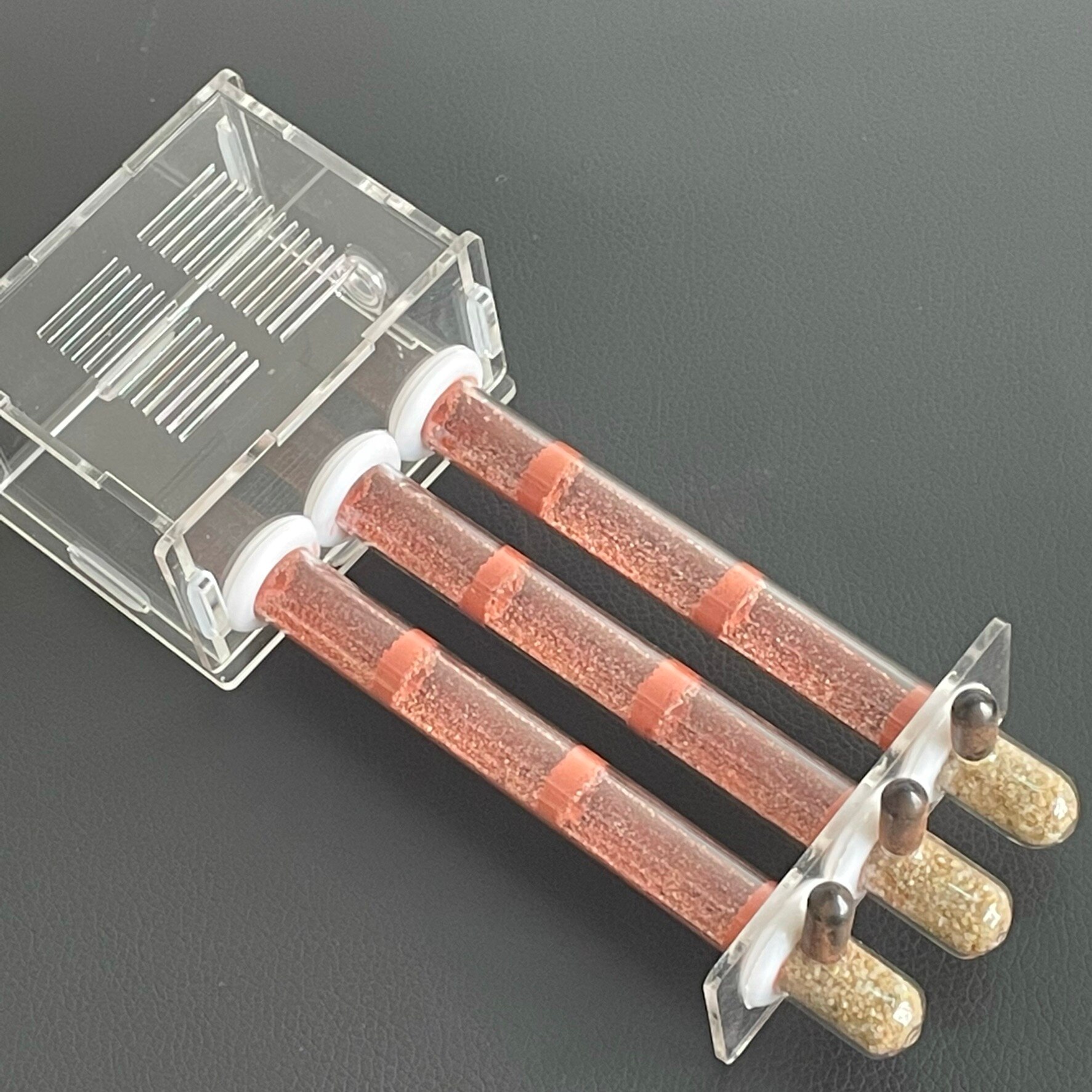 Bamboo Test Tube Ant Farm DIY Acrylic Ant House Ba... – Grandado