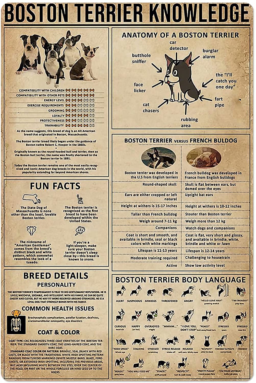 Dog Knowledge Metal Tin Sign Australian Shepherd A... – Vicedeal