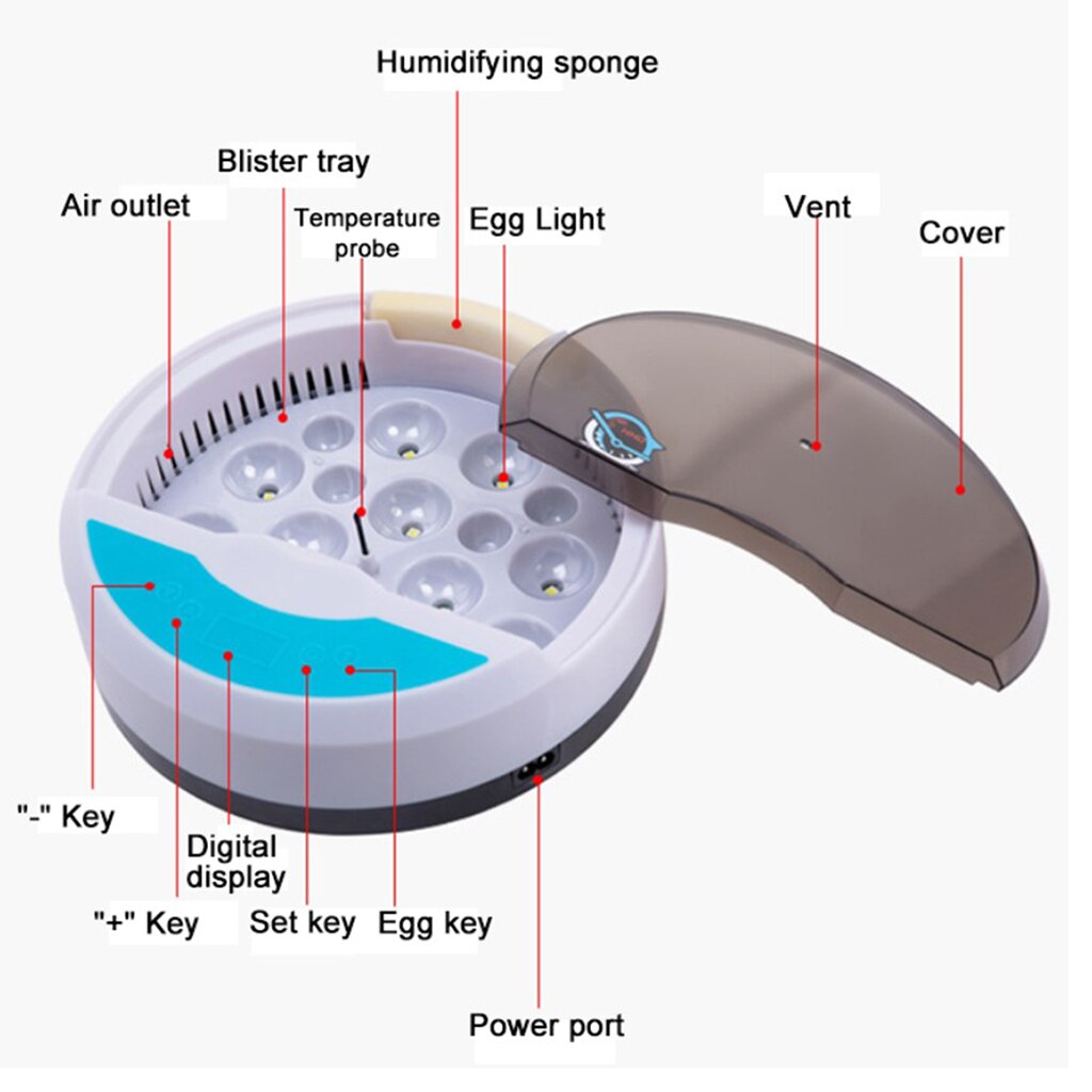 Digital Mini Fully Automatic Egg Incubator with Lo... – Grandado