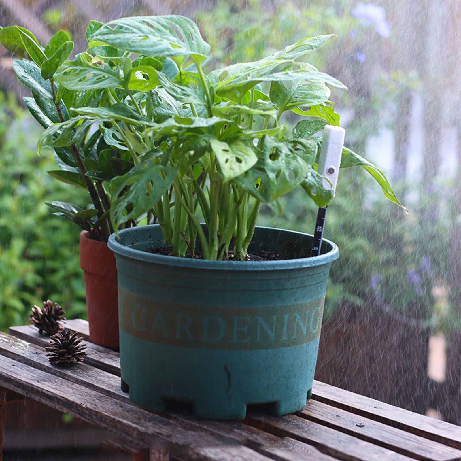 Soil Checker Gardening Flower Watering Water Short... – Grandado