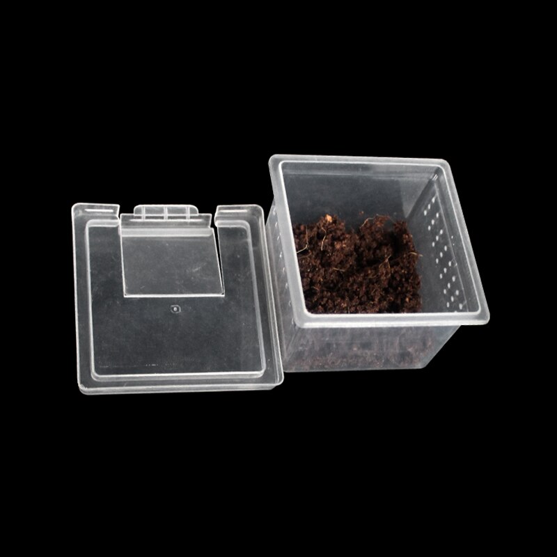 Feeding Box Reptile Cage Hatching Container Rearin... – Grandado