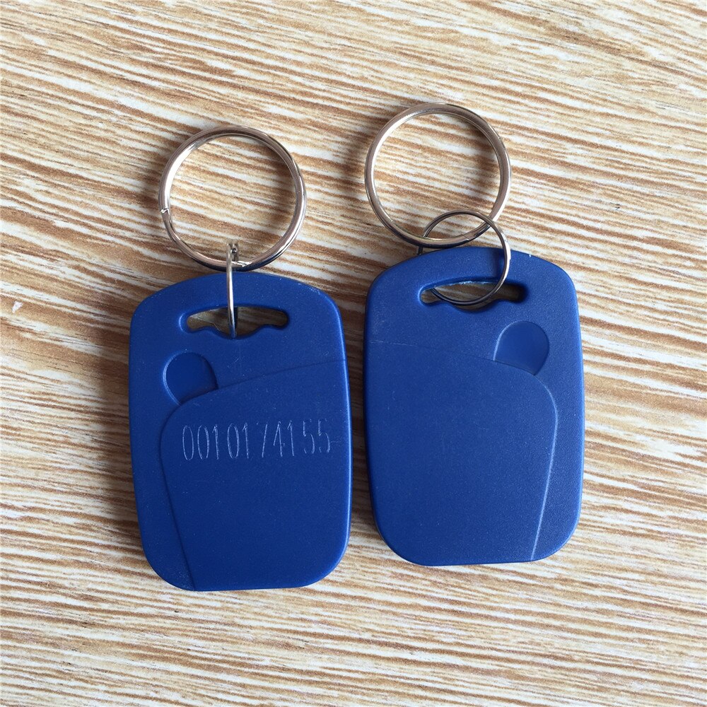 RFID EM4100 Fob 125KHZ ABS Waterproof keychain for... – Grandado