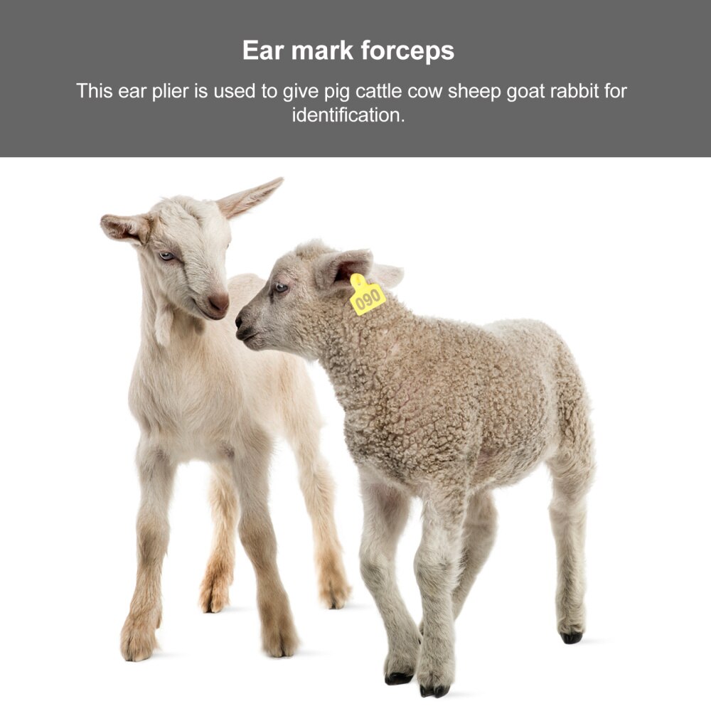 103Pcs Number Ear Tag Livestock Ear Tag Animal Ear... – Grandado