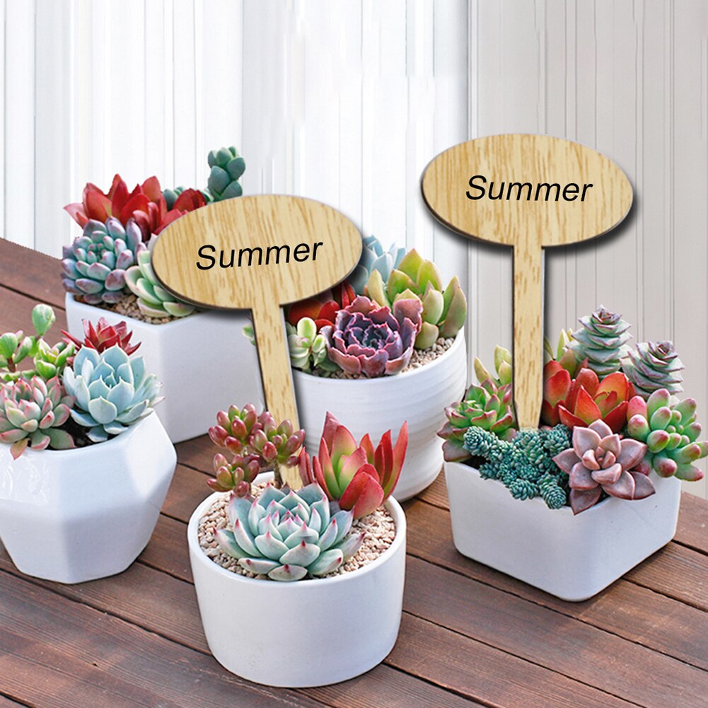 Cartes de jardinage en bois pour plantes succulent... – Grandado