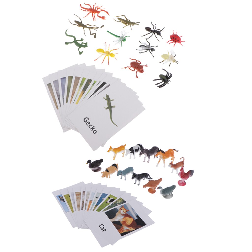 24Pcs Animals Model Card Homeschool Group Of Anima... – Grandado