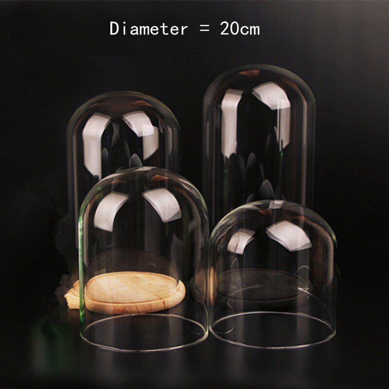 20*35cm Different Base Big Size Glass Dome Vase Ho... – Grandado