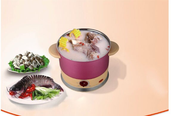 Steamed Pot Electric Cooking Cup Mini Boiled Noodl... – Vicedeal