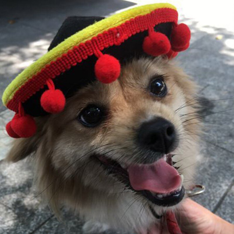 Mini Mexicaanse Stijl Stro Hoed Sombrero Funny Pet... – Grandado