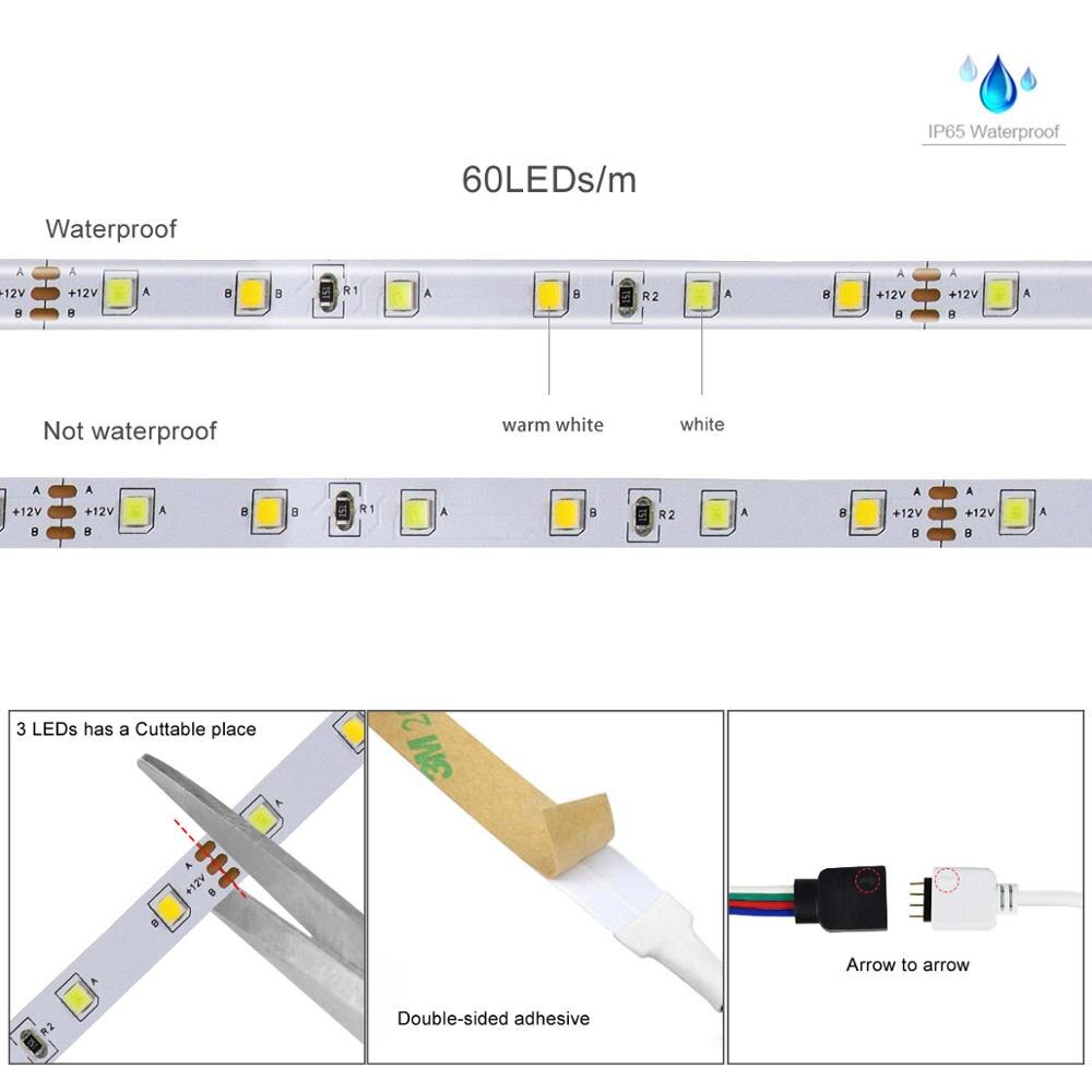 Led Lamp Neon Wandlamp Voor Kamer Keuken 12V Wifi ... – Grandado