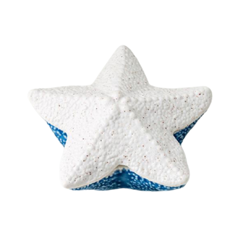 Sea Shells Decoration Desk Accessories Ceramic Sto... – Grandado