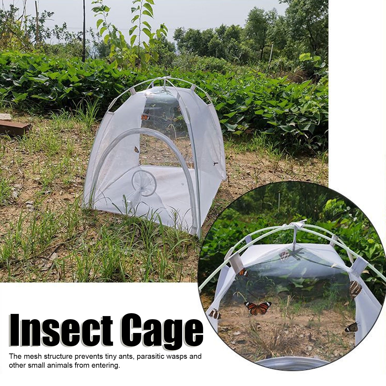 Outdoor Insect Mesh Tent Greenhouse Reusable Colla... – Grandado