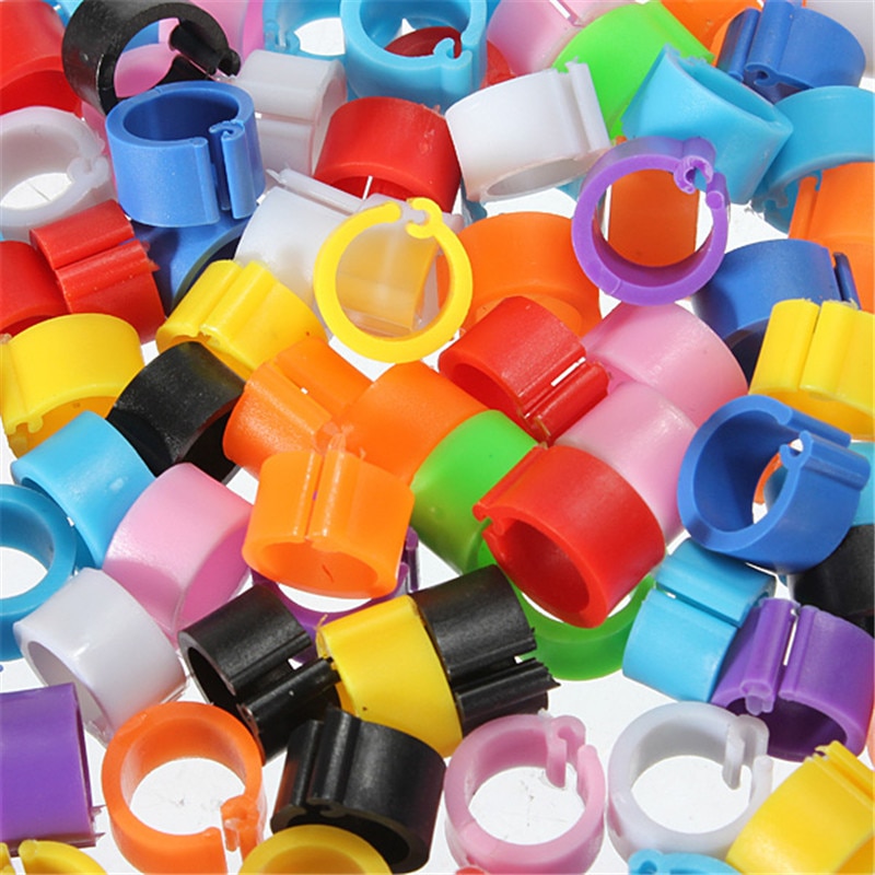 10mm Multicolor Chicken Leg Bands Plastic Chicken ... – Grandado