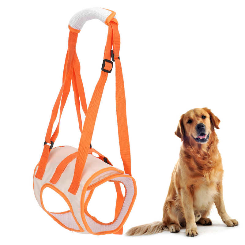 Pet Leg Straps Walking Bracket Mesh Pet Dog Lift H... – Grandado