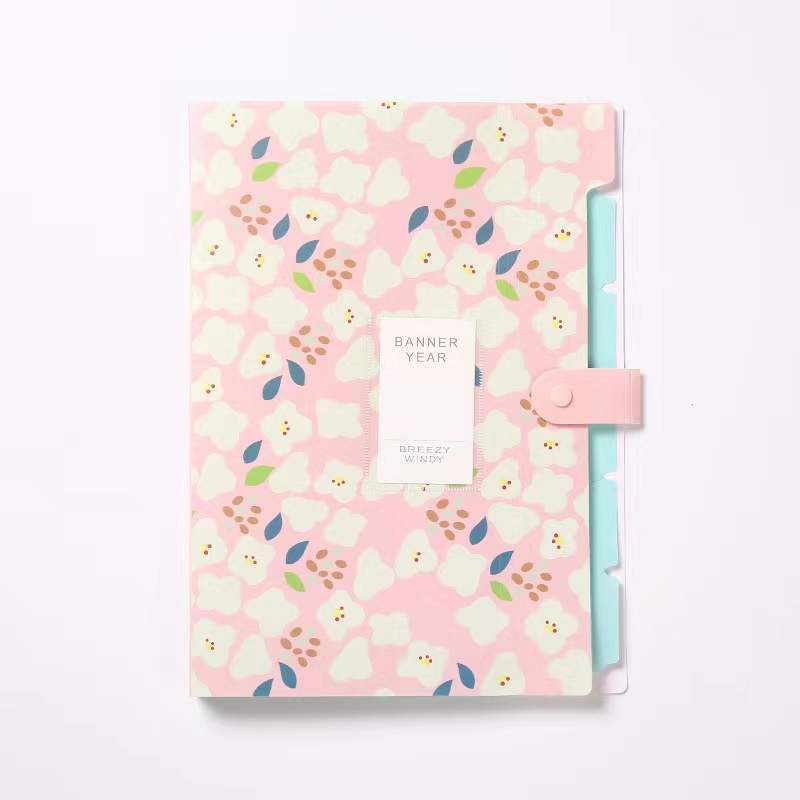 A4 File Folders with Labels, 5 Pockets Expanding F... – Grandado