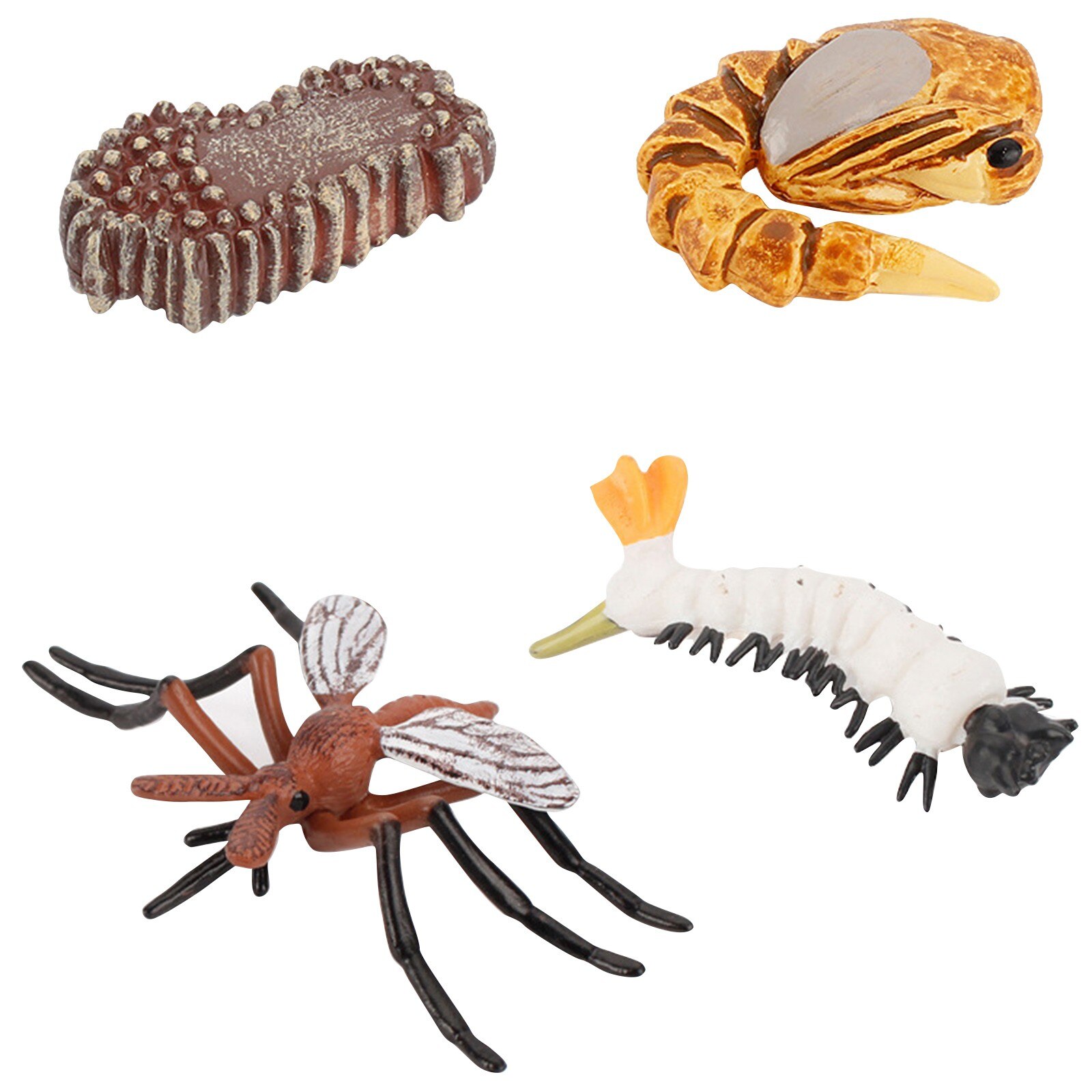 Multiple Styles Of Animal Growth Cycle Model Toys ... – Grandado