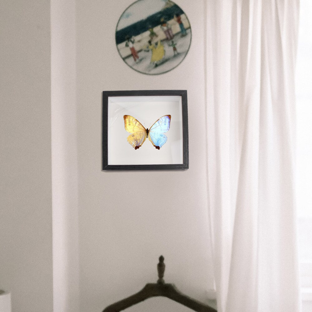 1pc Stereoscopic Specimen Simple Photo Frame Photo... – Grandado