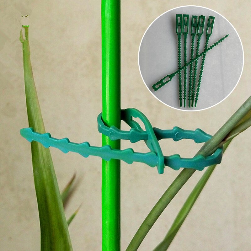 Bridas de plástico ajustables para plantas, bridas... – Grandado