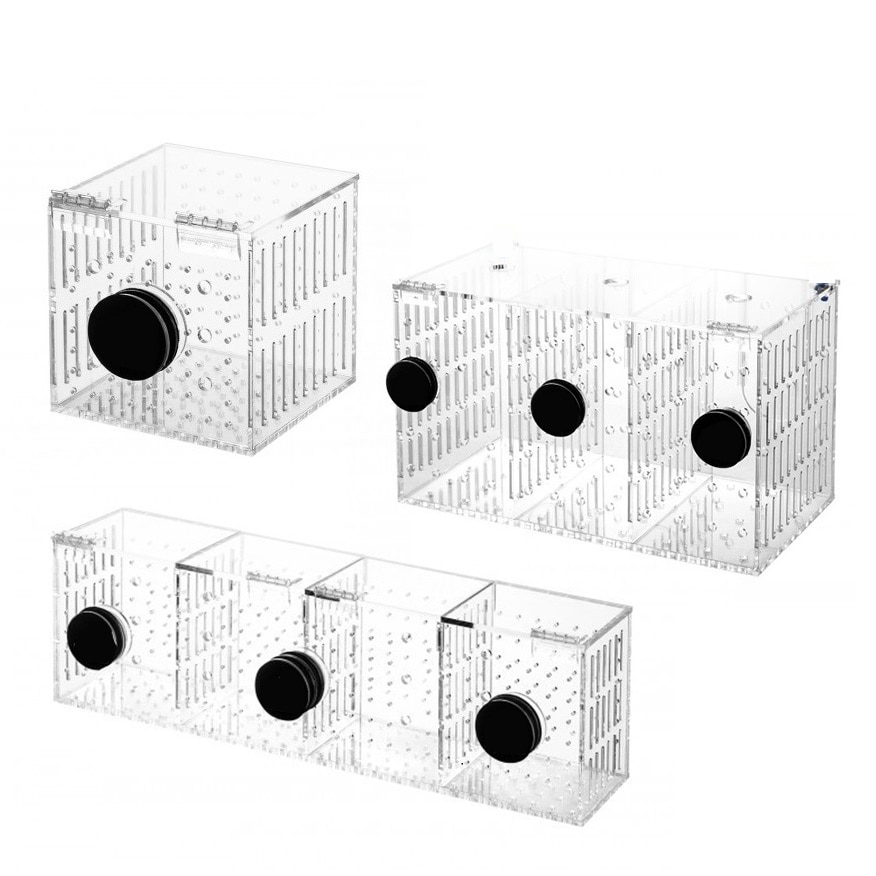 DW Aquarium Acrylic Isolation box Fish Bowls Tank ... – Grandado