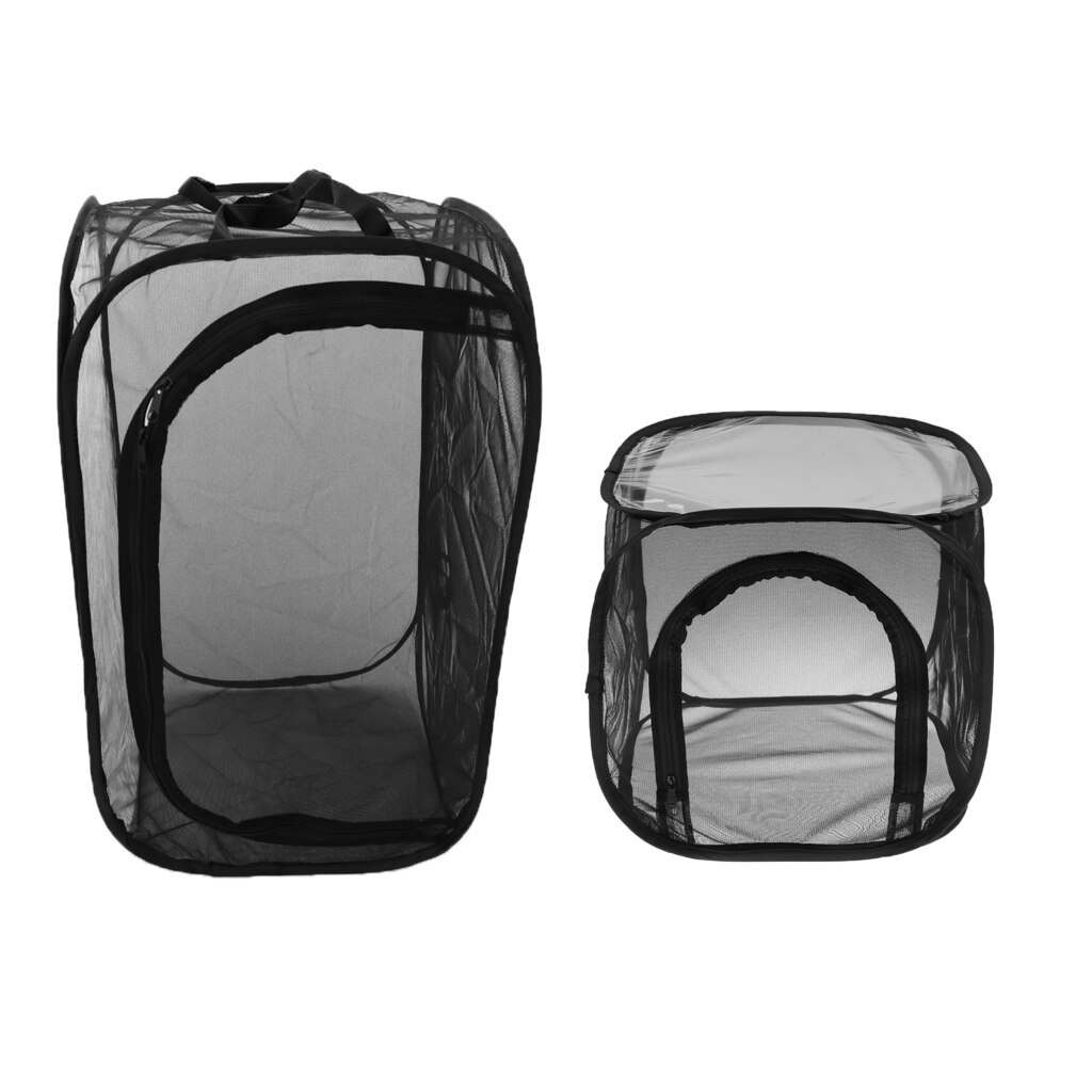 Insect Butterfly Habitat Portable Monarch Butterfl... – Grandado