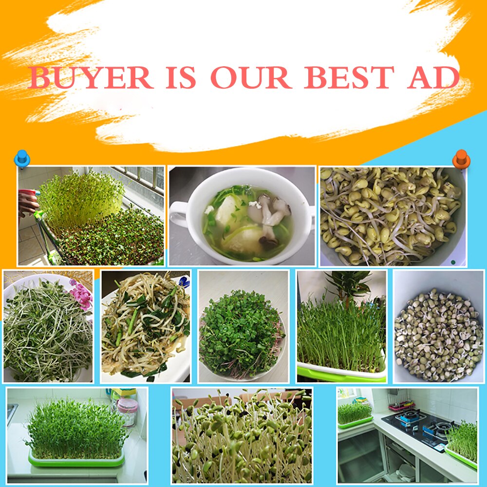 Double-layer Seedling Tray Sprout Plate Soilless C... – Grandado