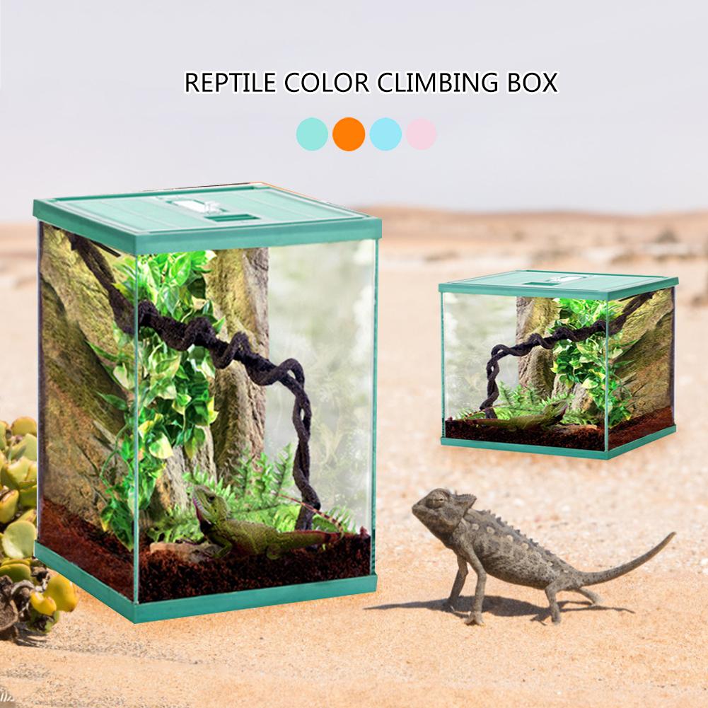 Reptile Glass Terrarium Amphibians Feeding Box Tra... – Vicedeal