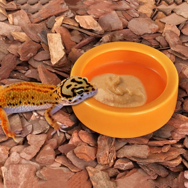 Reptile Water Food Bowl Worm Dish Ceramic Pet Bowl... – Grandado