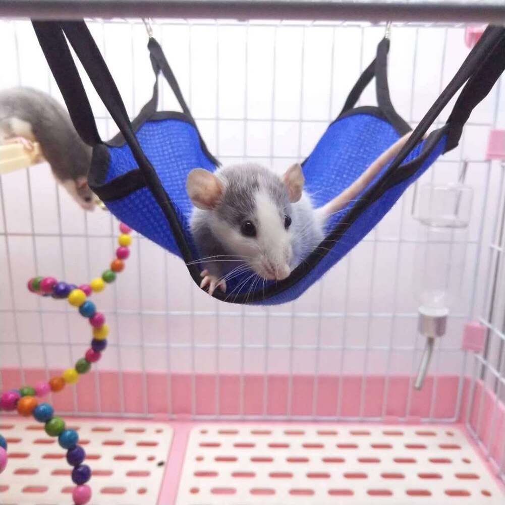 Zomer Ademend Sandwich Mesh Pet Kat Fretten Hangma... – Grandado