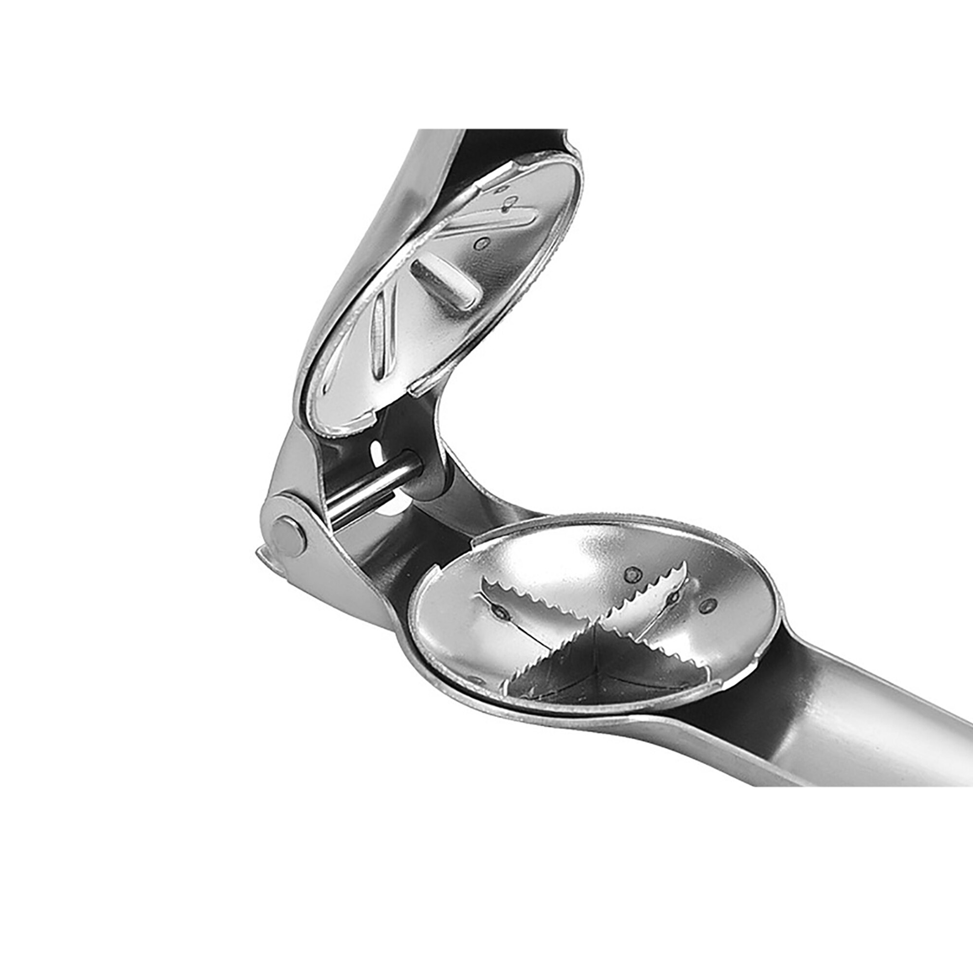 Chestnut Opening Device Stainless Steel Press Conc... – Grandado