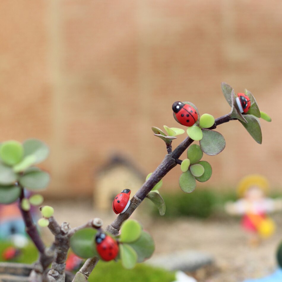 100PCS/Set Mini Wooden Ladybug Sponge Stickers Min... – Grandado