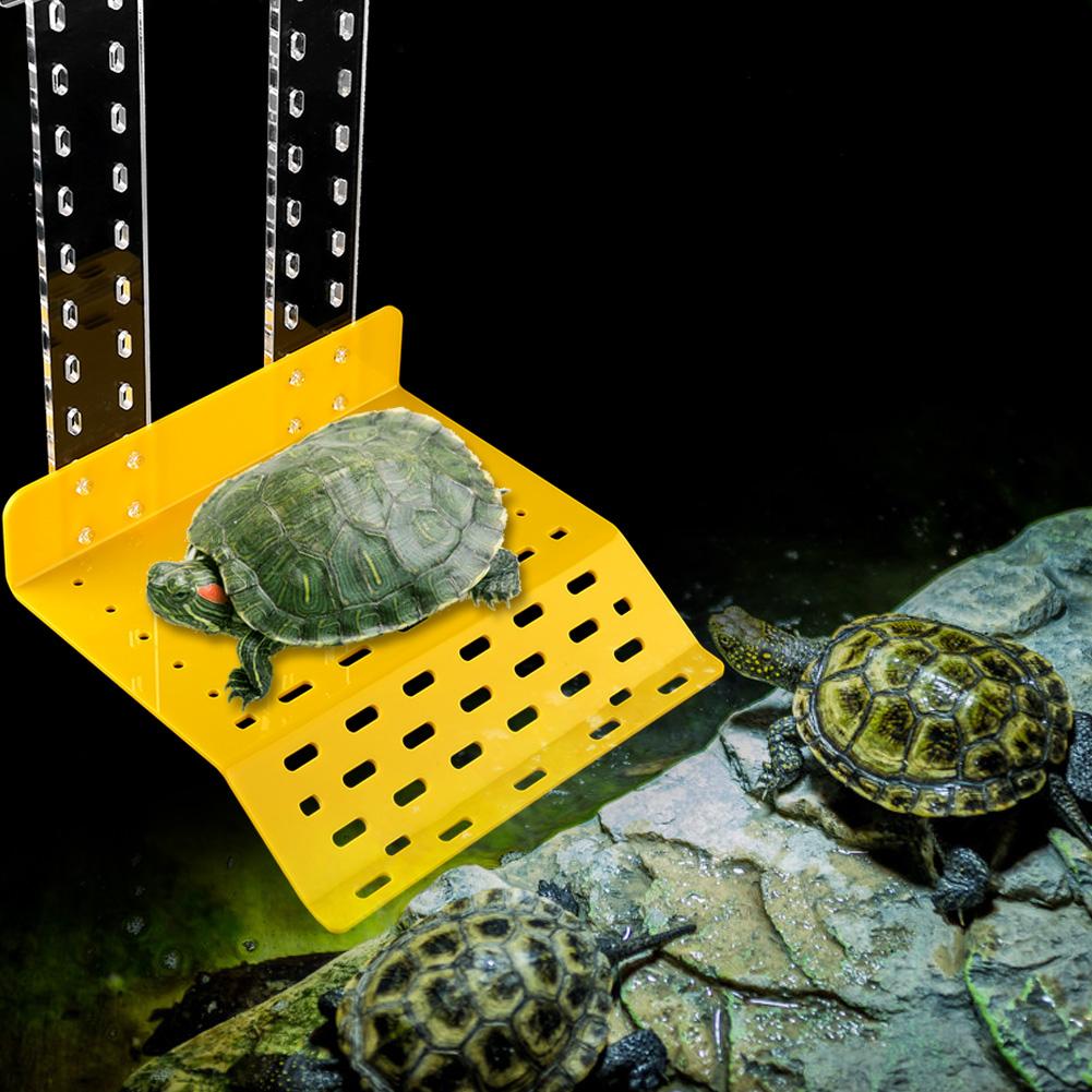 Basking Platform Reptile Tortoise Floating Platfor... – Grandado