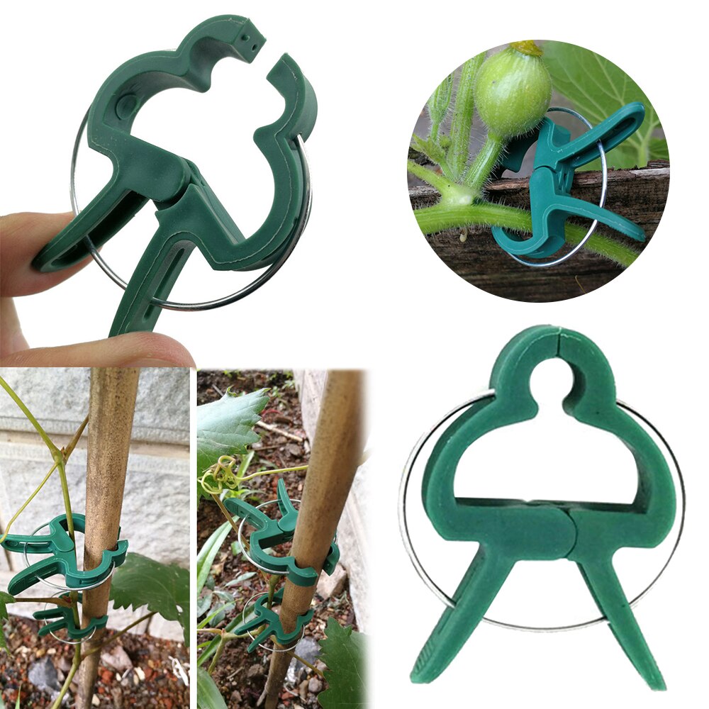 MINI Garden Plant Fixed Clip Vines Grape Support F... – Vicedeal