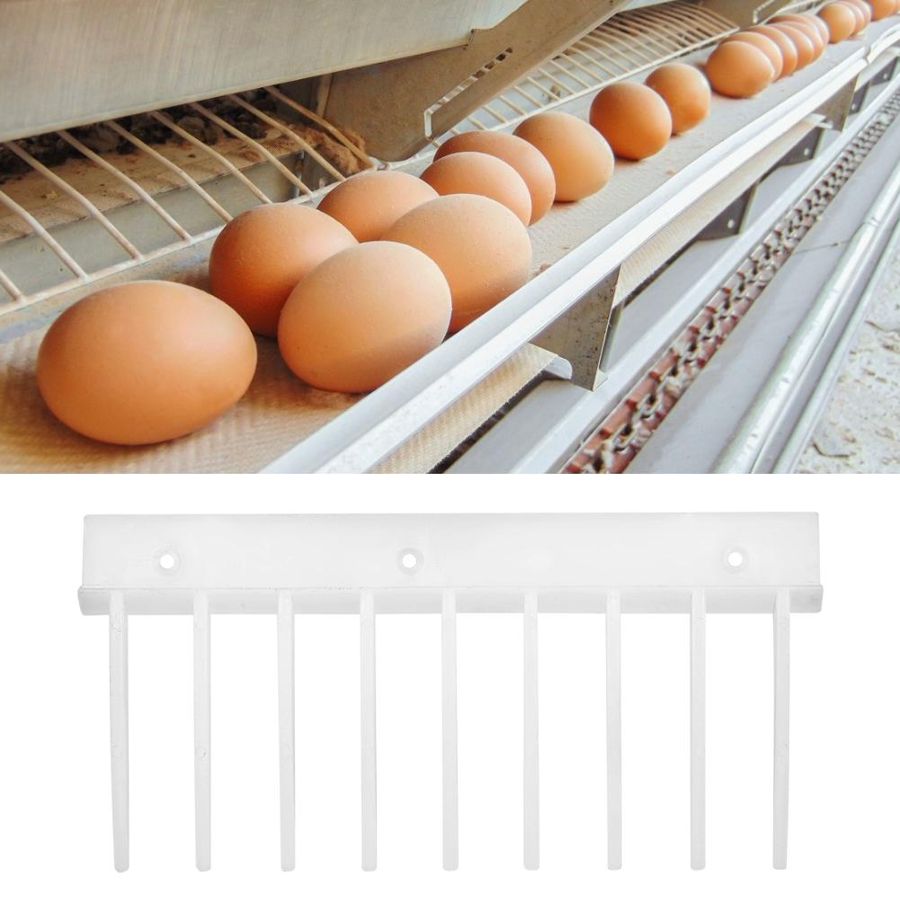 Automatic Chicken Egg Picker Chicken Farm Accessor... – Grandado