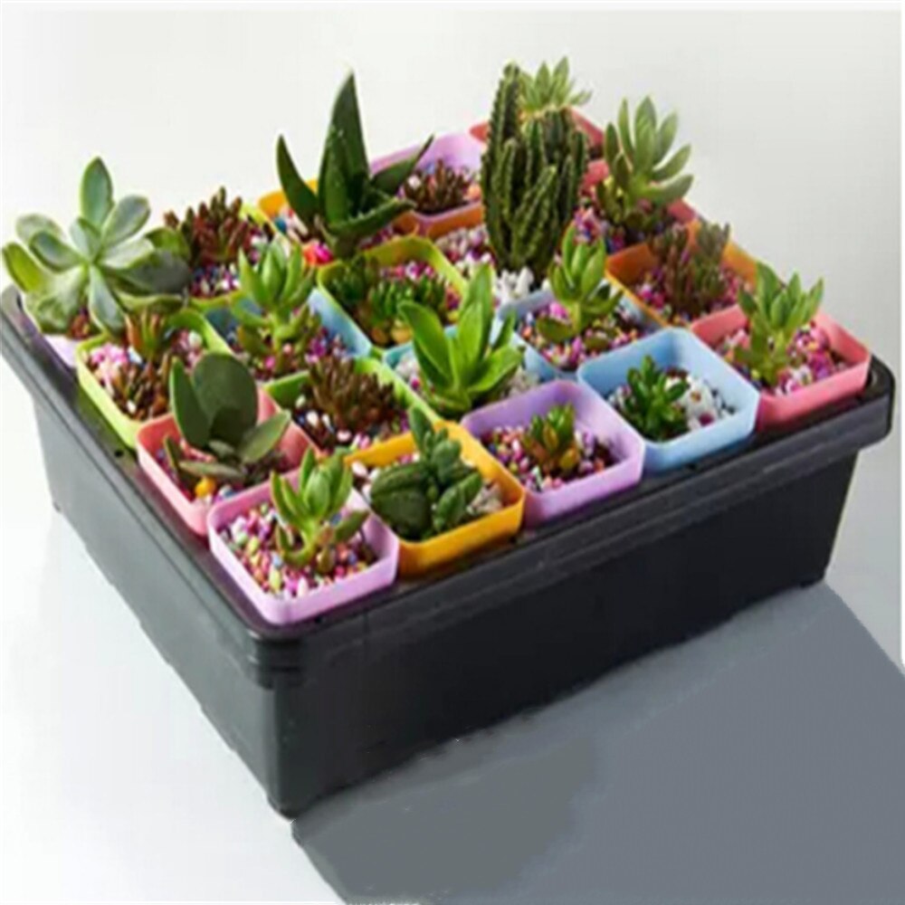 10 Stks/set 7 Kleuren Plastic Potten Kleine Home D... – Grandado