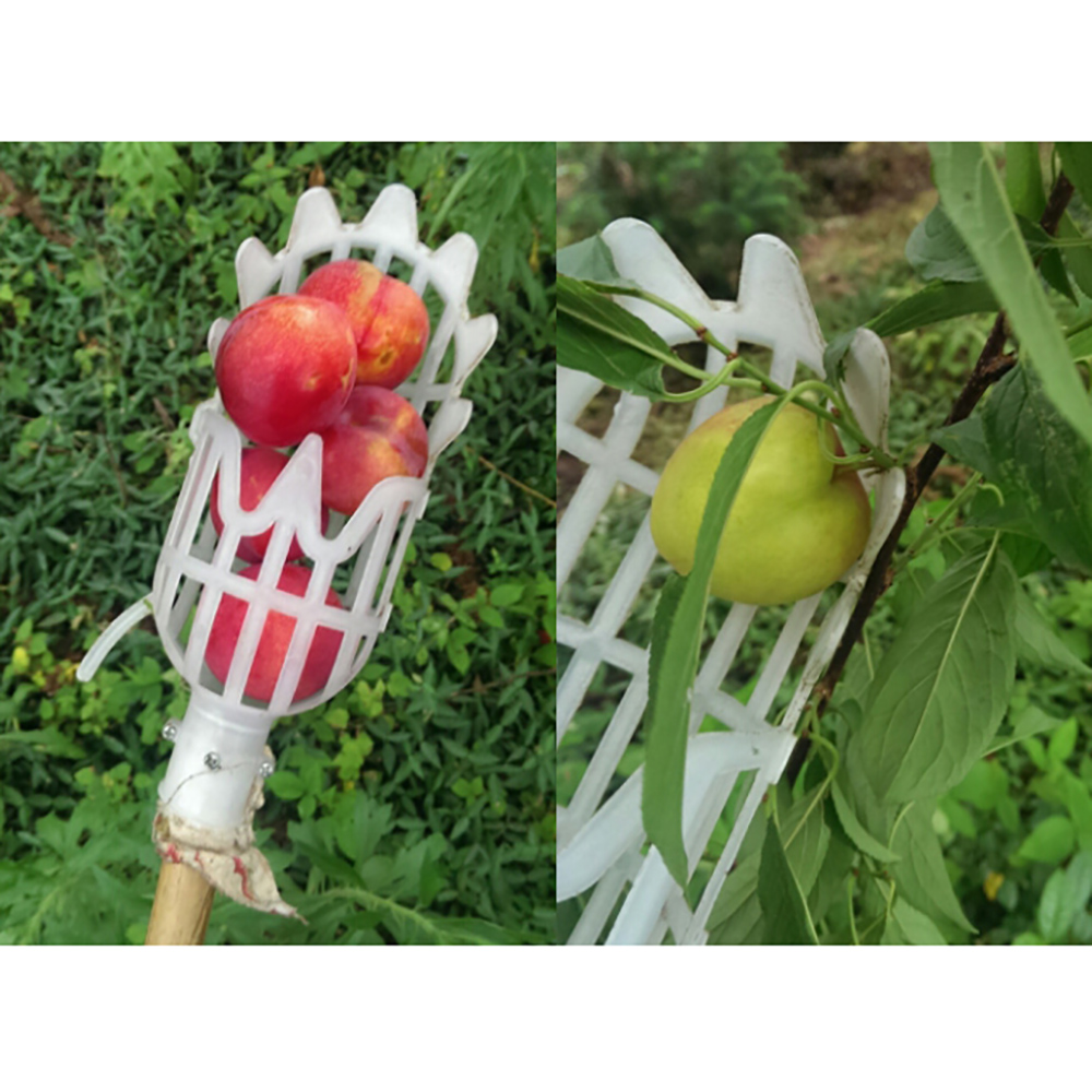 Greenhouse Plastic Fruit Picker Catcher Fruit Pick... – Vicedeal