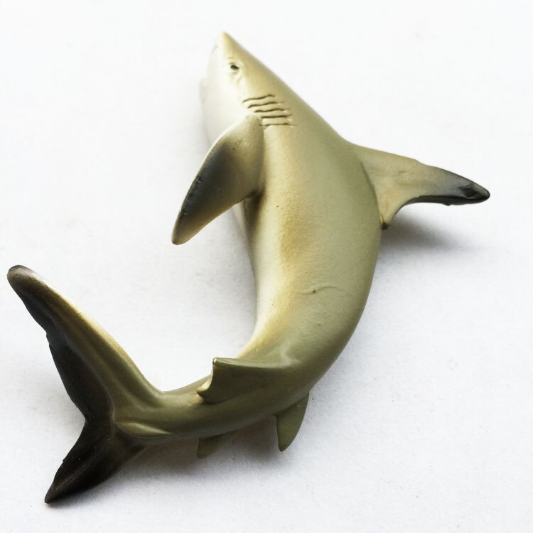stereo shark fridge magnet maldives souvenir 3D ki... – Grandado