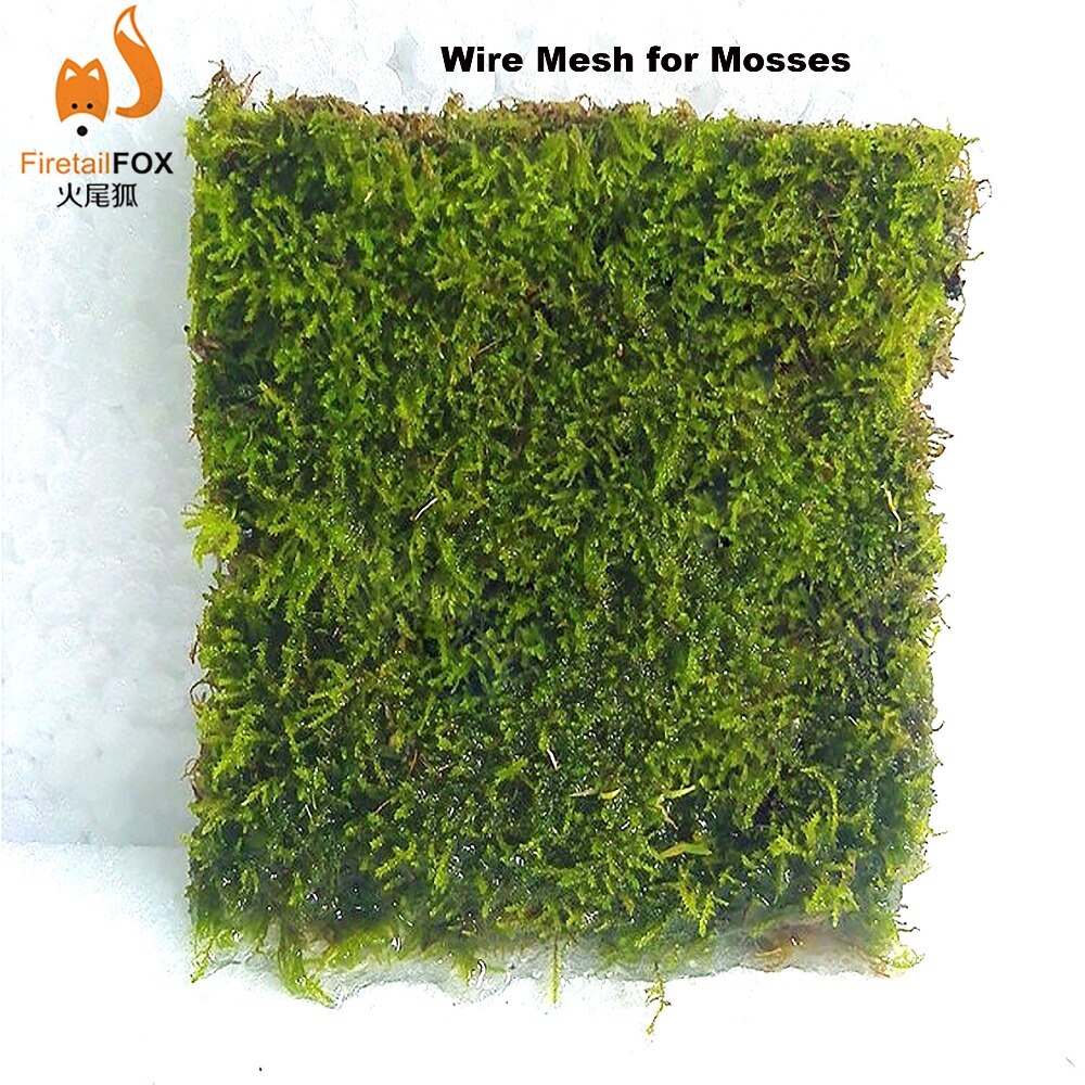 3.8x3.8 inch Wire Mesh moss pads for Moss Aquarium... – Vicedeal
