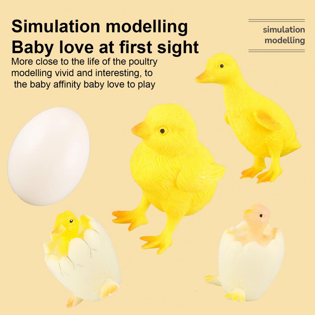 6Pcs/Set Life Cycle Toy Interactive High Imitation... – Vicedeal