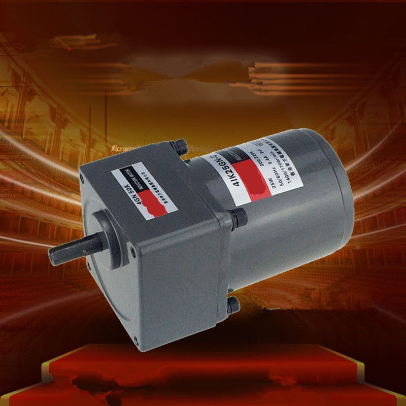 Eenfase 220V Ac Verticale Micro Gear Motor 25W 4IK... – Grandado