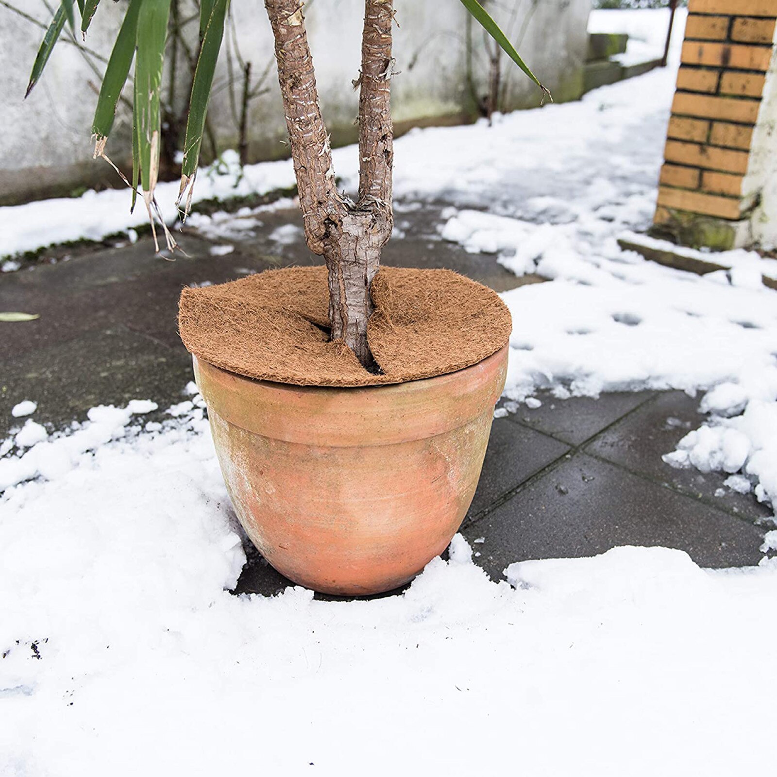 Planter Disc Indoor Outdoor Flower Pot 30cm Balcon... – Grandado