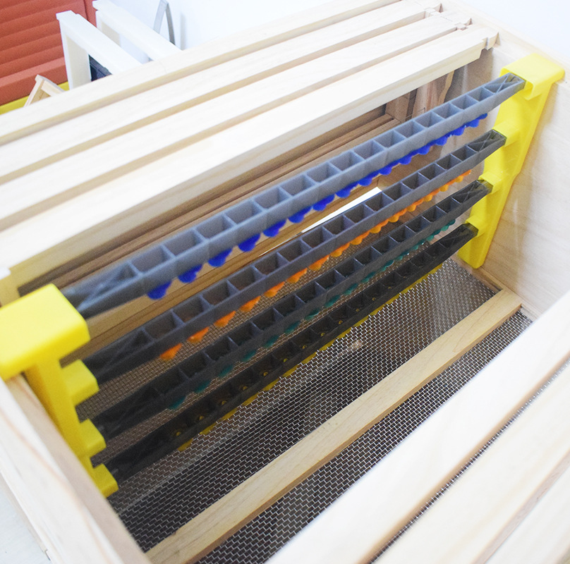 1 Kit Beekeeping Bee Queen Frame Rearing Complete ... – Vicedeal