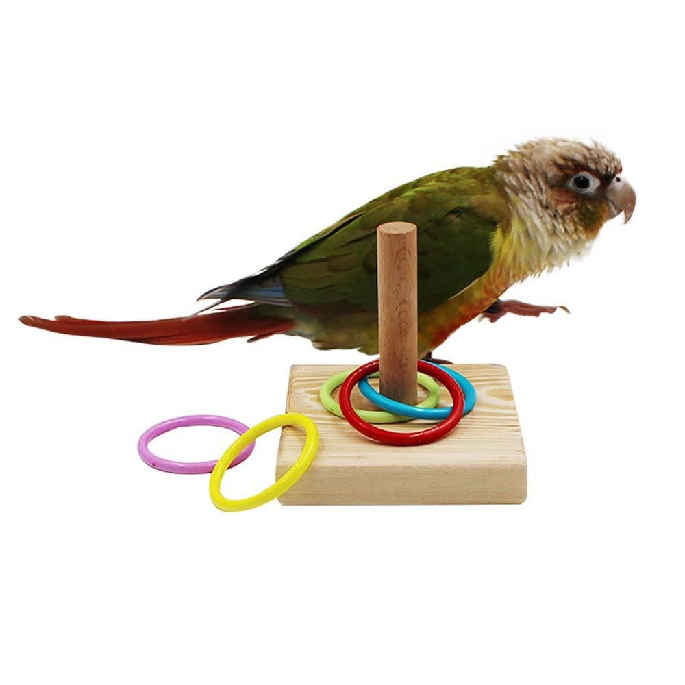 Parrots Training Rings Toy Parrot Stacking Ring To... – Grandado