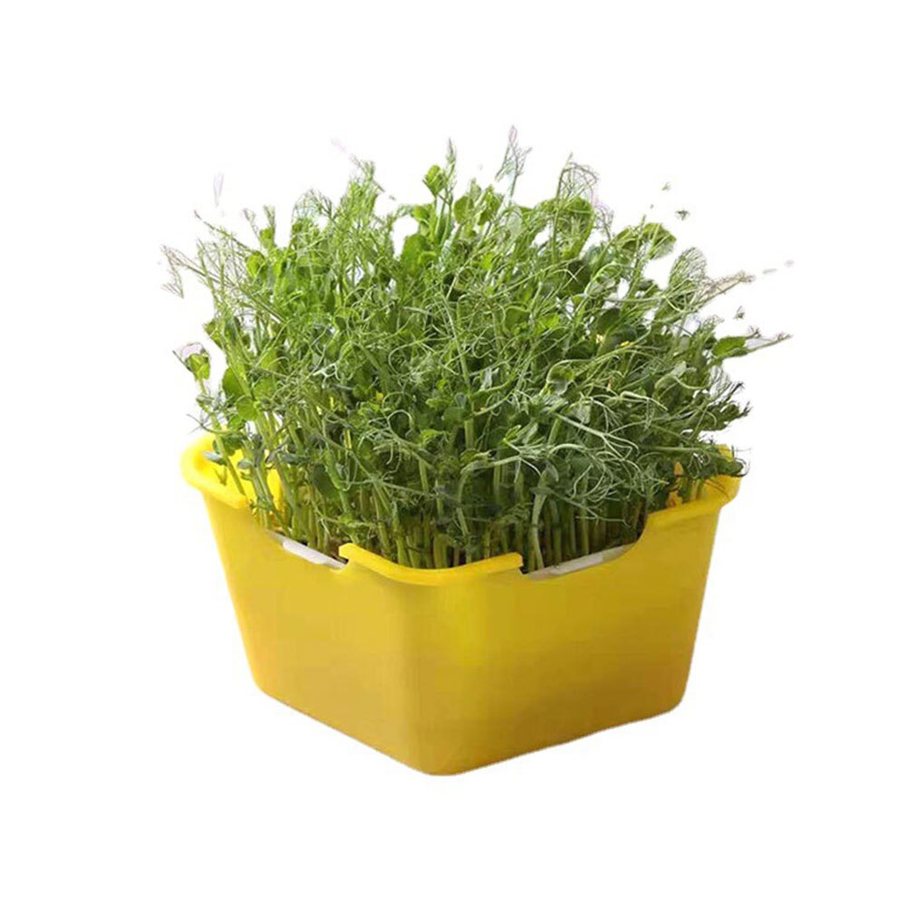 Plastic Hydroponic Sprout Planting Pot Box Bean Pe... – Grandado