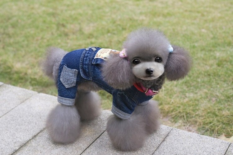 A204 Hond Jeans Hoodie Romper kleding Puppy hond w... – Vicedeal